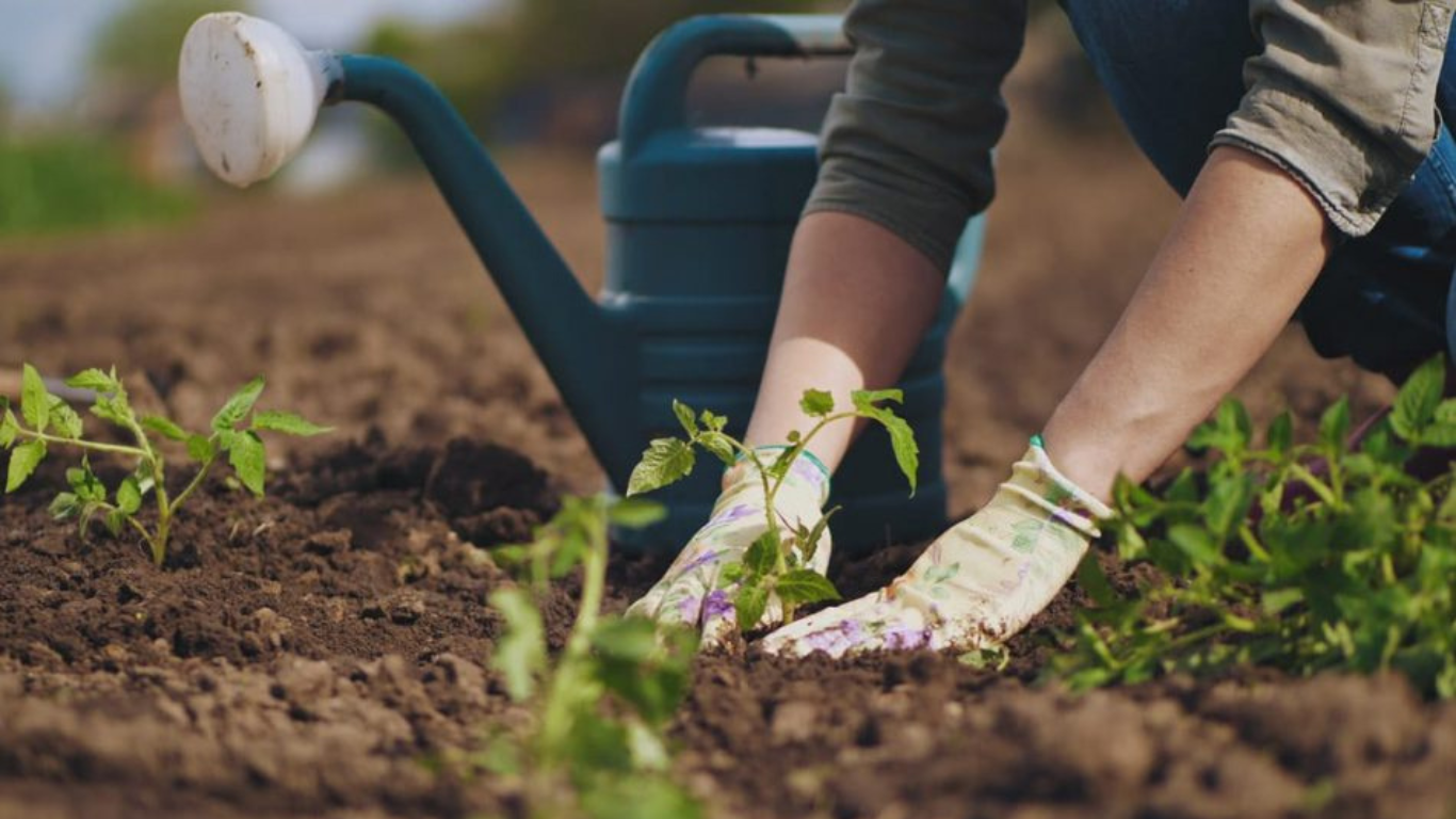 Soutenir la transition agroécologique, une solution pour améliorer son ... Soutenir la transition agroécologique, une solution pour améliorer son ...